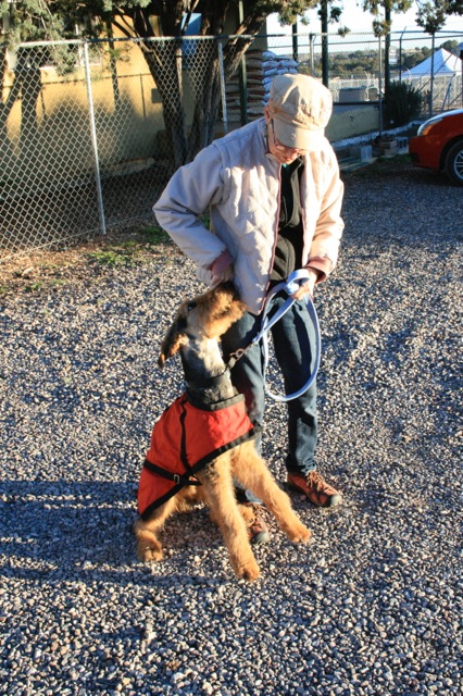 9 | Southwest Airedale Terrier Rescue
